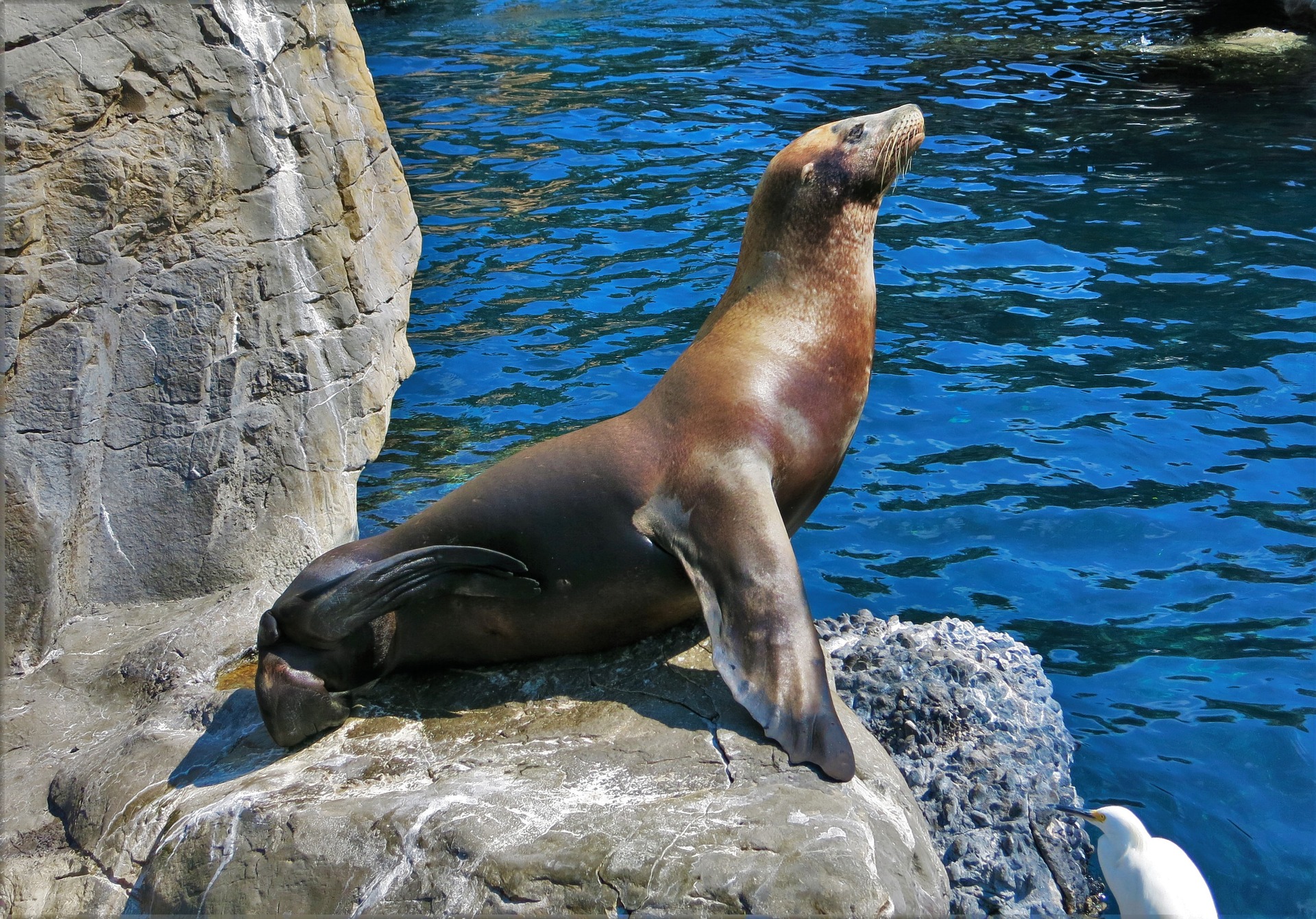Top Reasons Why You Should Visit Cape Town - Travel Lifestyle Magazine